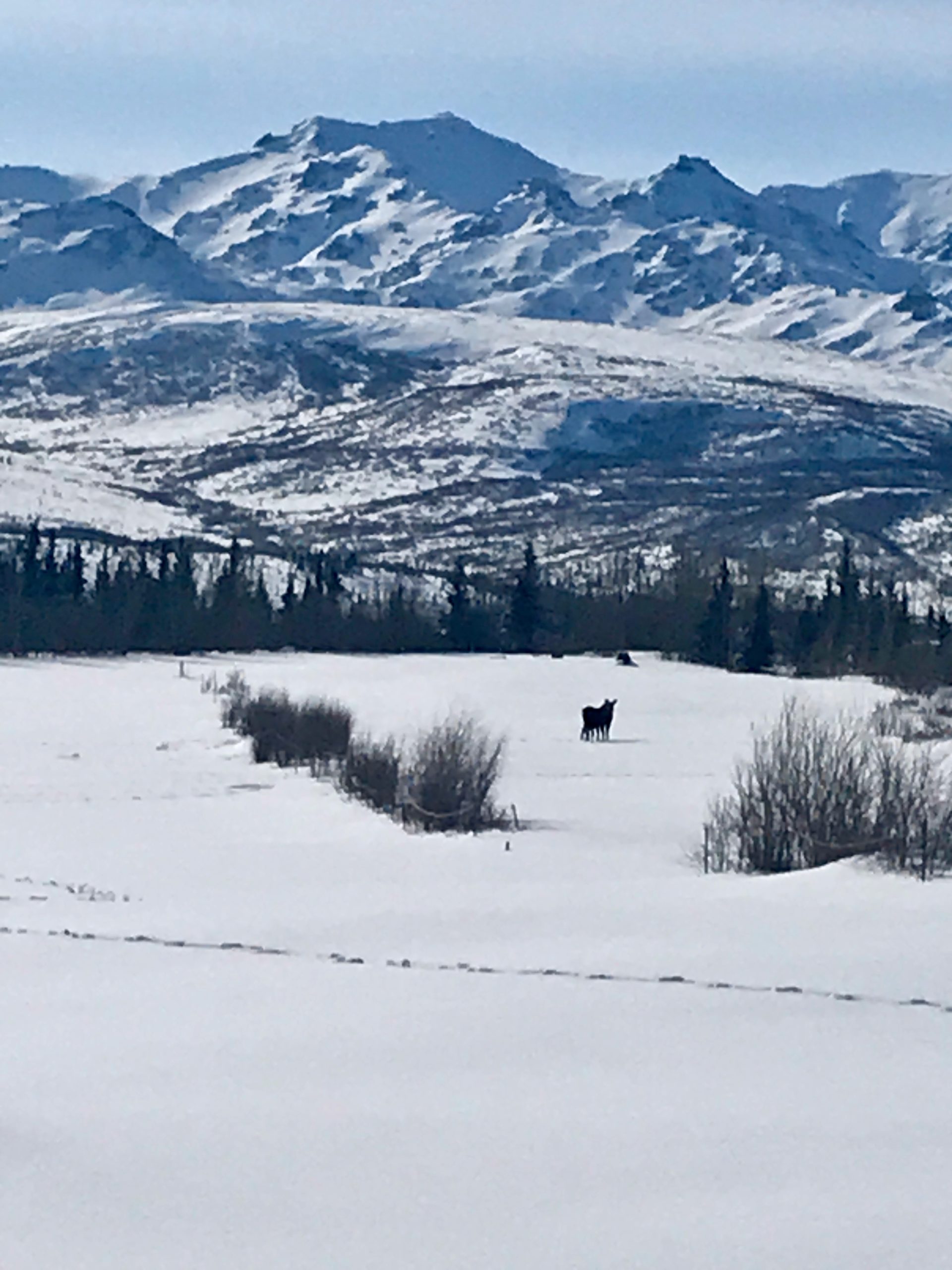 moose-golf-course - Wandering La Vignes