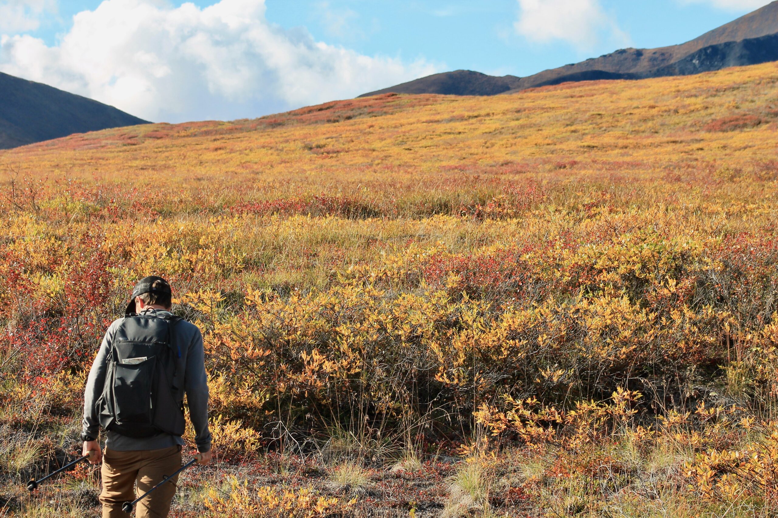 Chandalar-Shelf_J - Wandering La Vignes