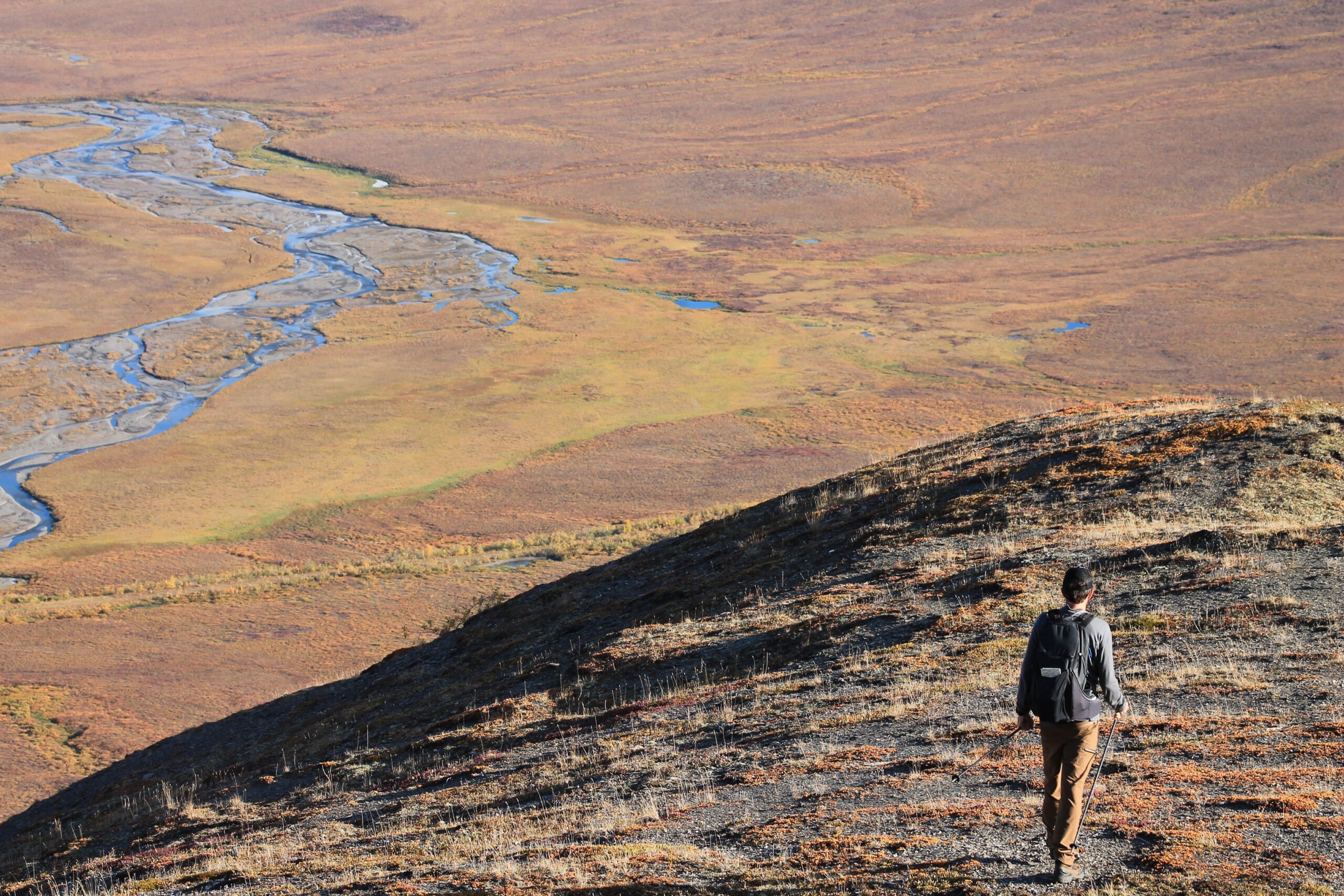 Chandalar-Shelf_J6 - Wandering La Vignes
