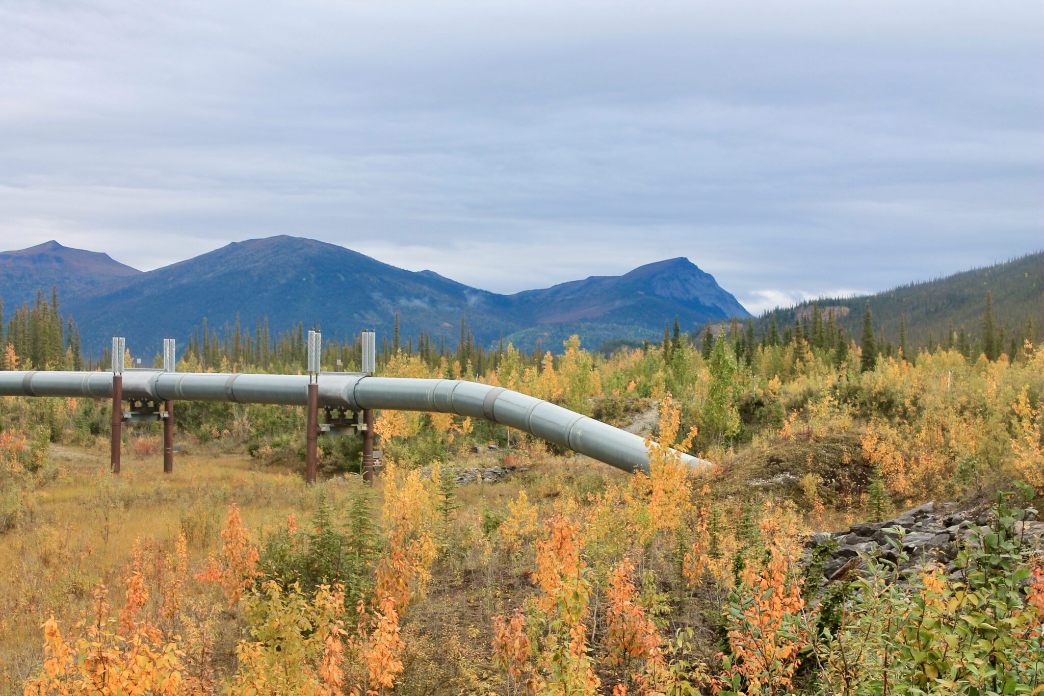 Exploring Alaska: Dalton Highway - Wandering La Vignes